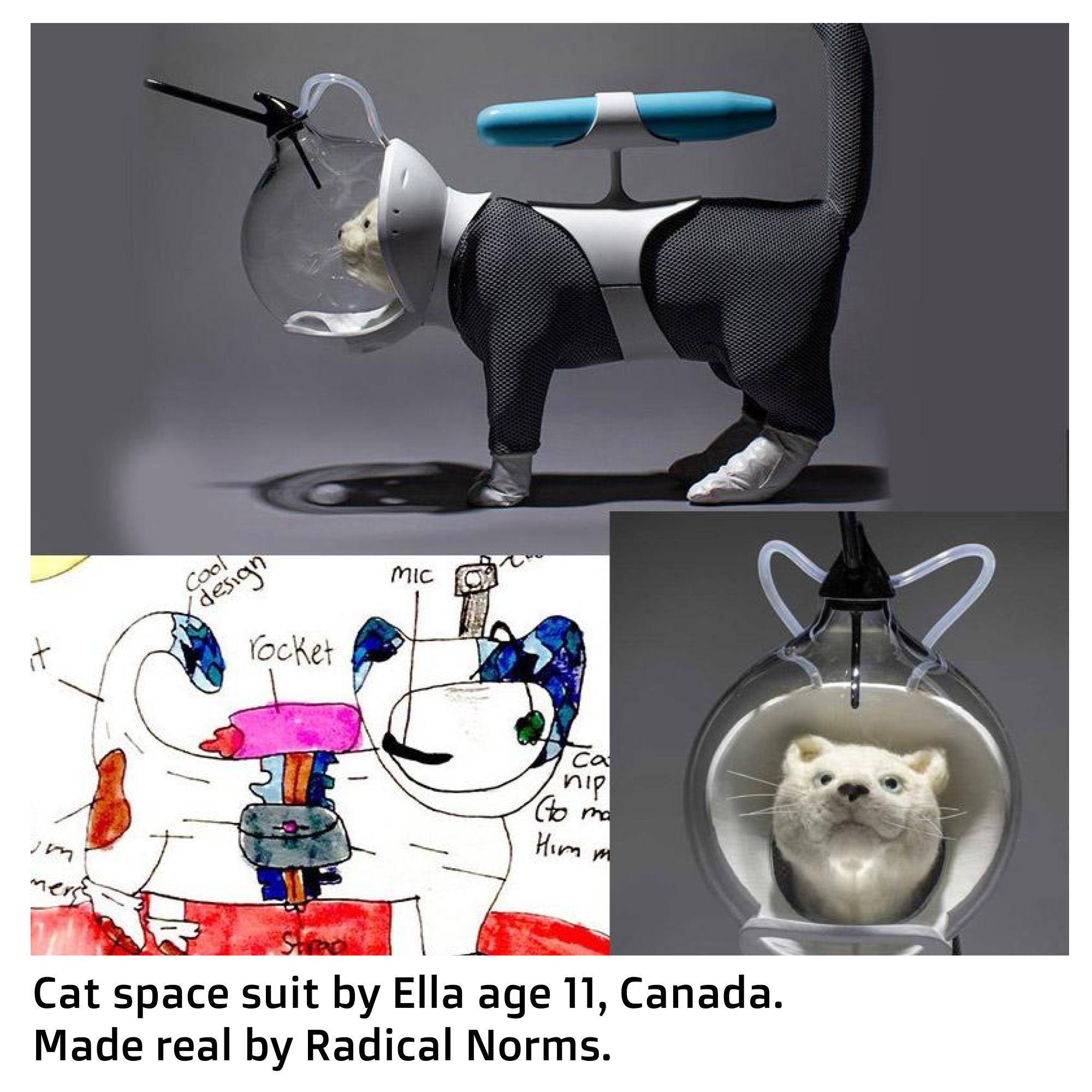 Challenge #418 Dry animals : Little Inventors
