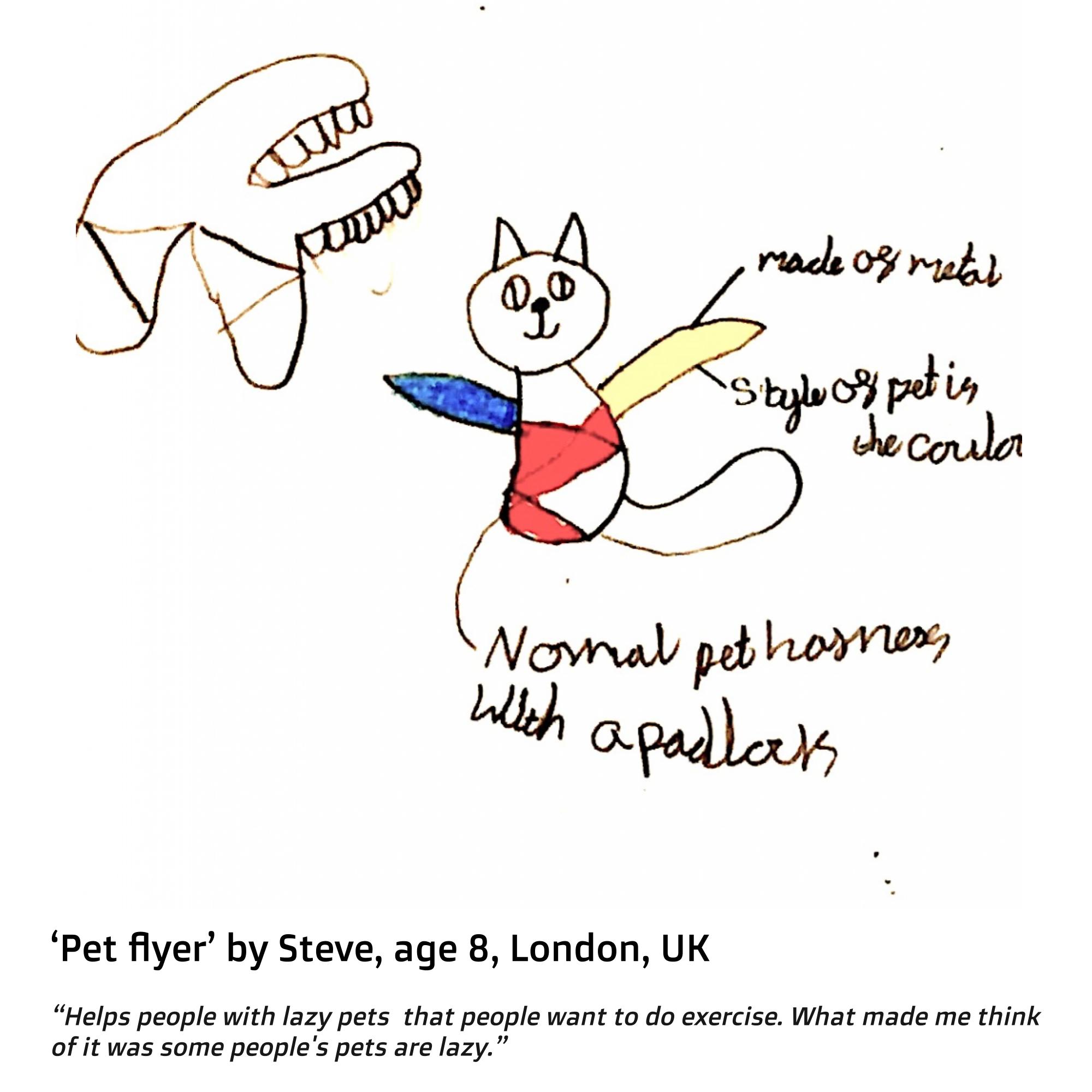 Challenge #286 Pet Power : Little Inventors