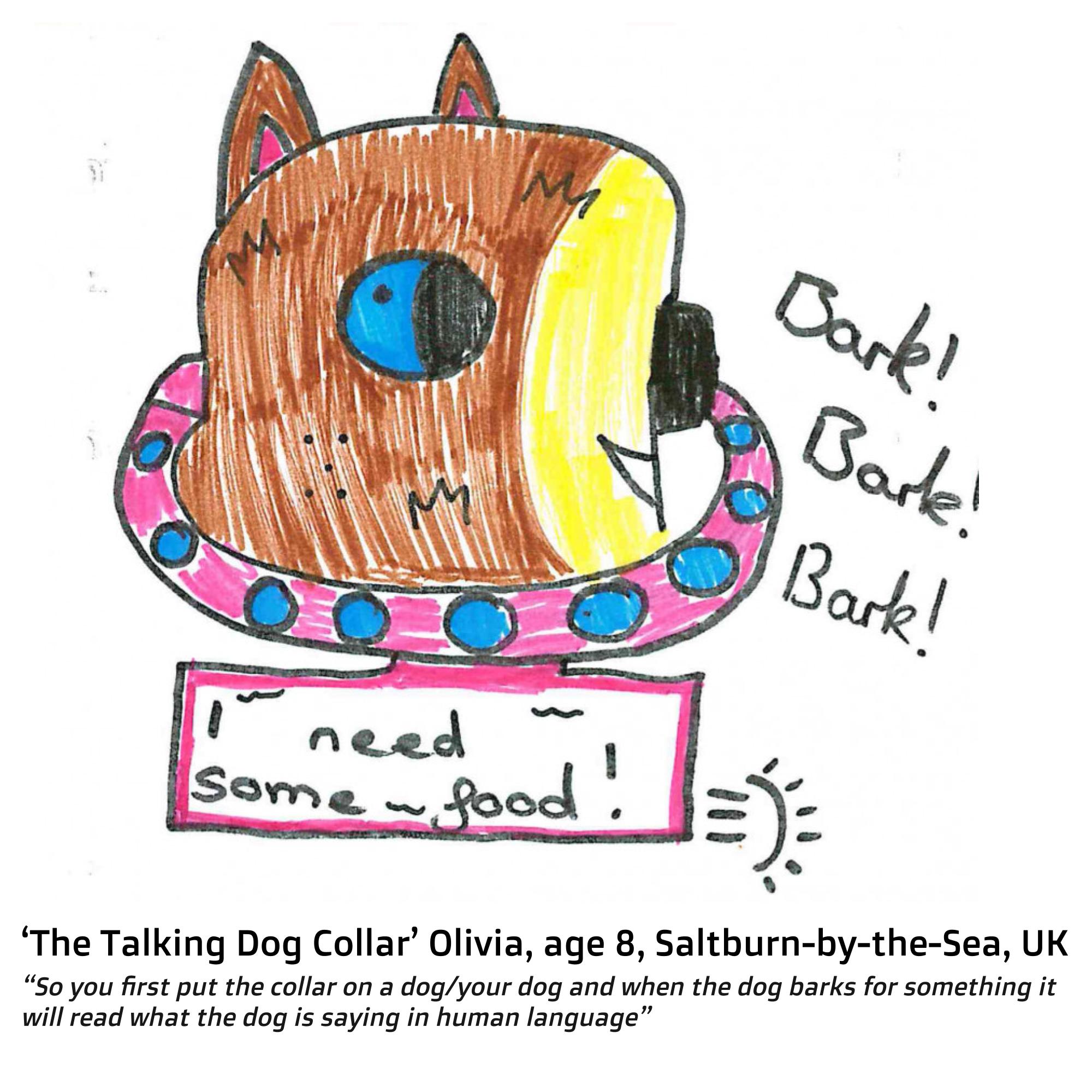 Challenge #324 Animal translator : Little Inventors