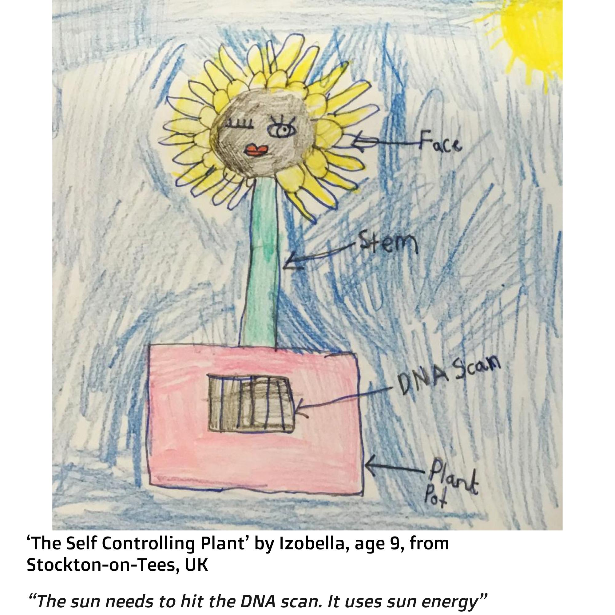 Challenge #117 Flower pot men : Little Inventors