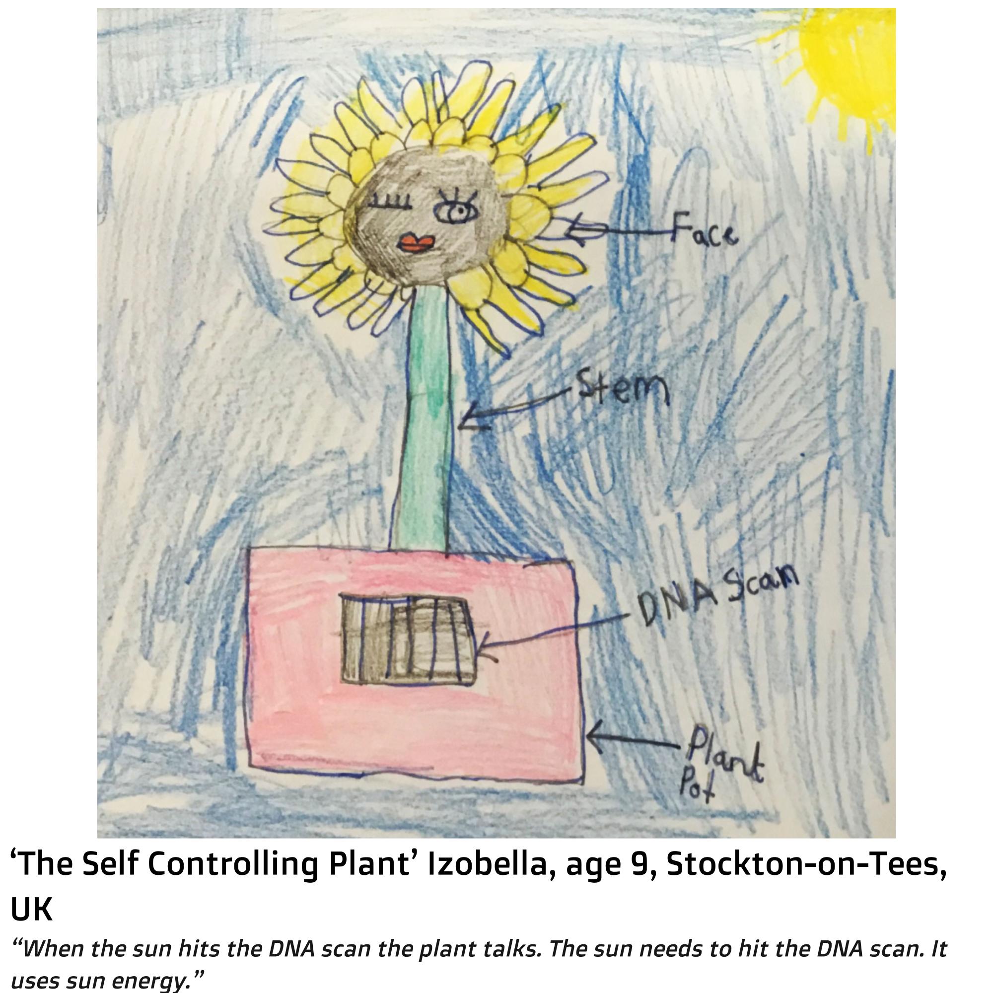 Challenge #480 All-weather plant : Little Inventors